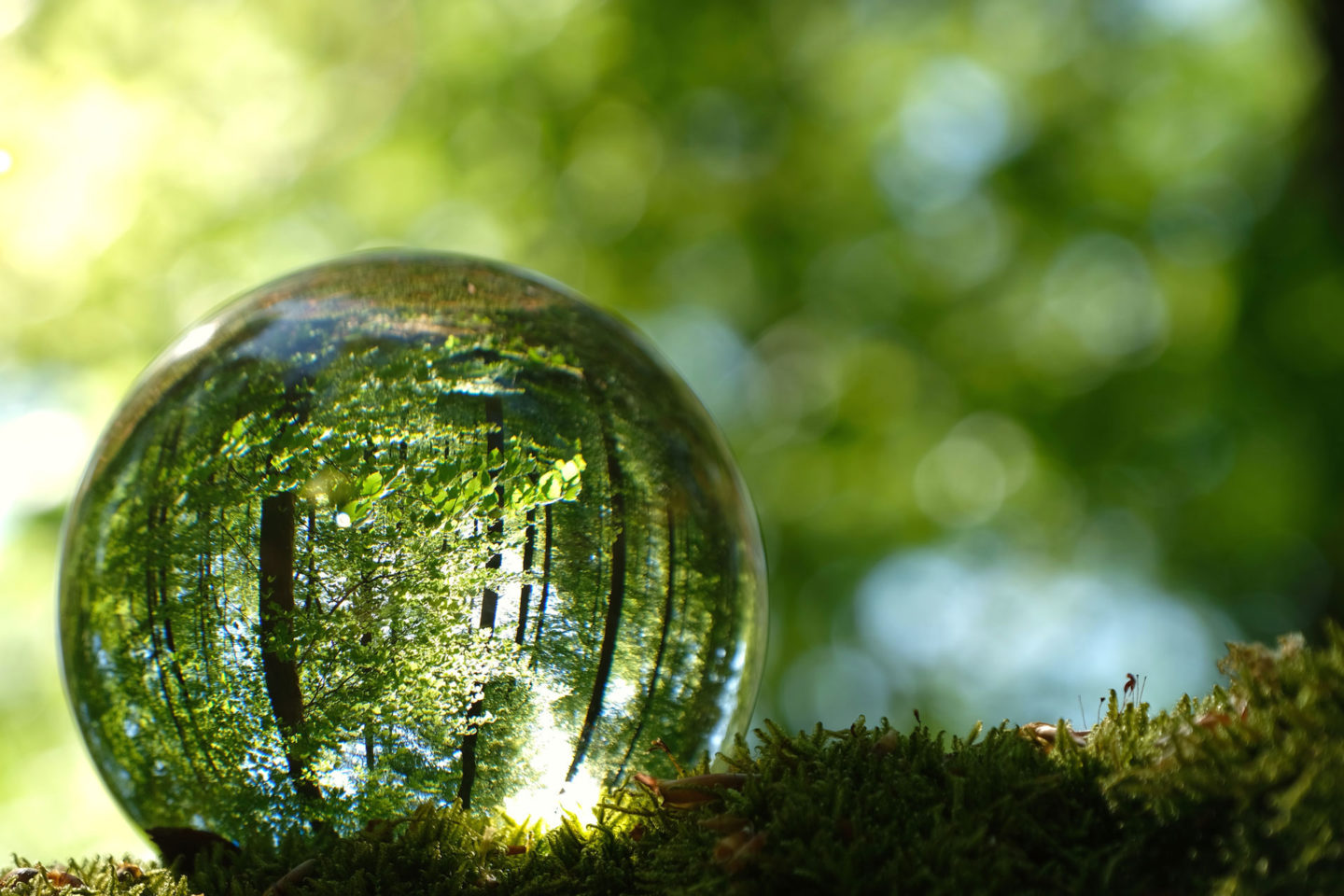 Axiom Investors | Global Growth Equity Manager