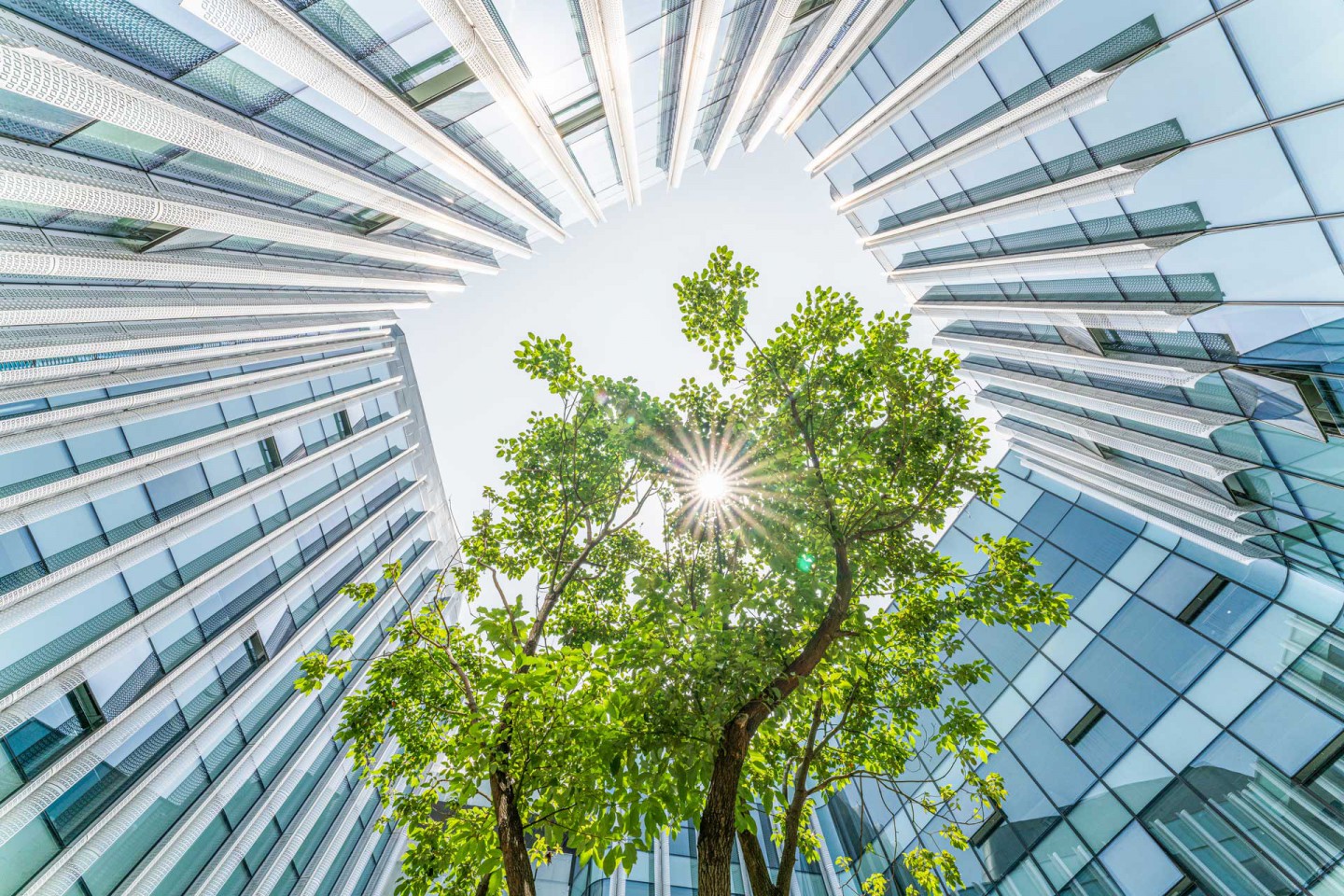 Approach | Axiom Investors | Global Growth Investment Manager